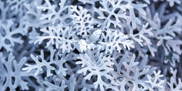 101 Blue Flowers: A Comprehensive Guide with Names and Images