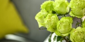 35 Types of Green Flowers: Complete List with Names and Images