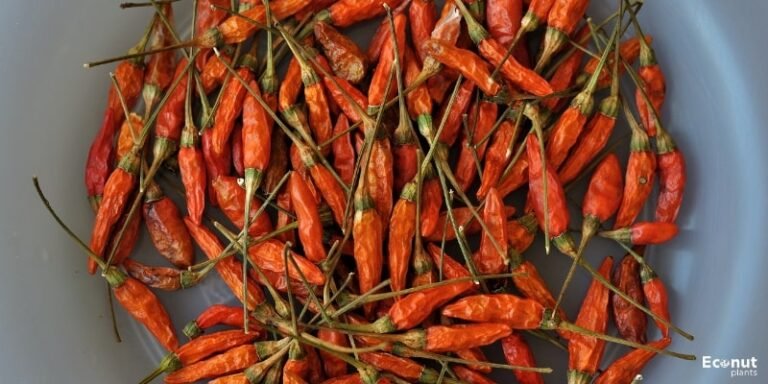 21 Unique Hot Pepper Varieties