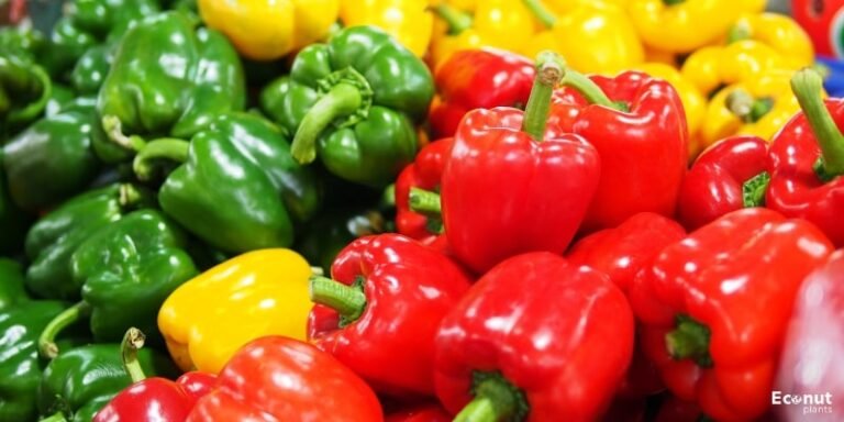 21 Unique Hot Pepper Varieties