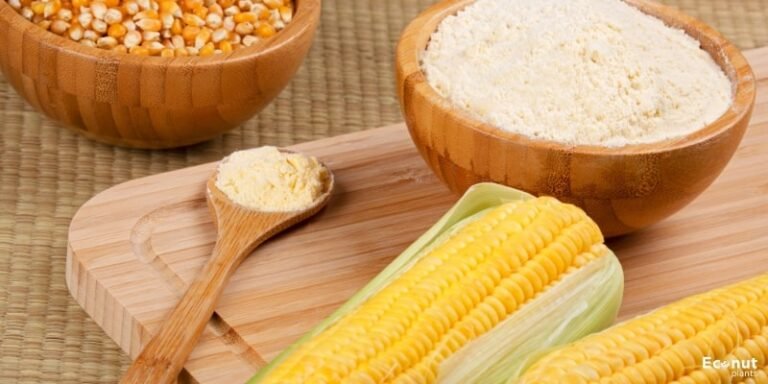 17 Types of Corn with Names and Pictures