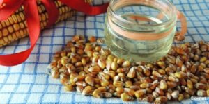 17 Types of Corn with Names and Pictures