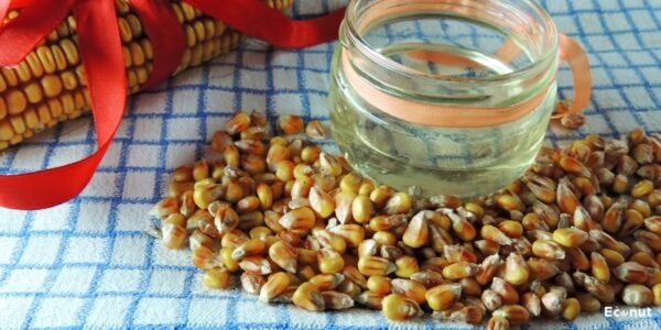 17 Types of Corn with Names and Pictures