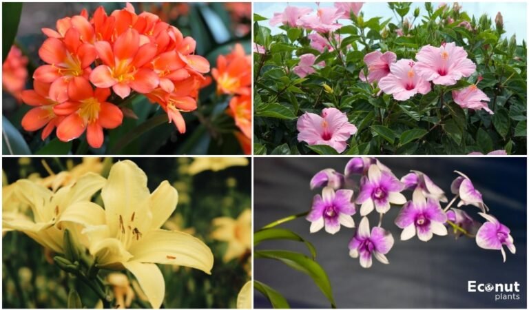 35 Most Beautiful Flowers for a Dense, Tropical Environment