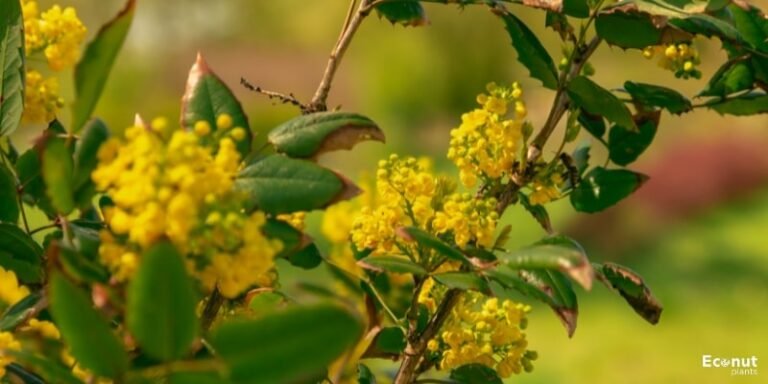 25 Yellow-Flowered Shrubs and Trees for Your Yard