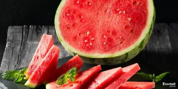22 Watermelon Varieties: A Complete List with Names and Images
