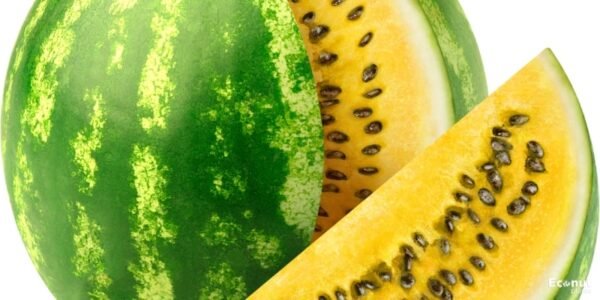 22 Watermelon Varieties: A Complete List with Names and Images