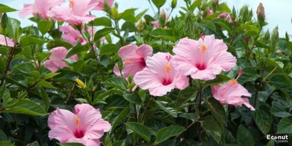 35 Most Beautiful Flowers for a Dense, Tropical Environment