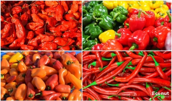 21 Unique Hot Pepper Varieties