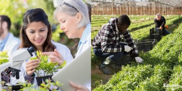 What Makes a Difference Between Horticulturists and Botanists?