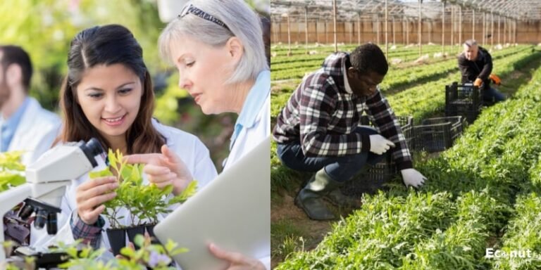 What Makes a Difference Between Horticulturists and Botanists?