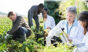 What Makes a Difference Between Horticulturists and Botanists?