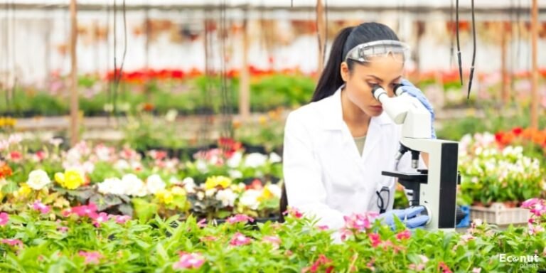 What Makes a Difference Between Horticulturists and Botanists?